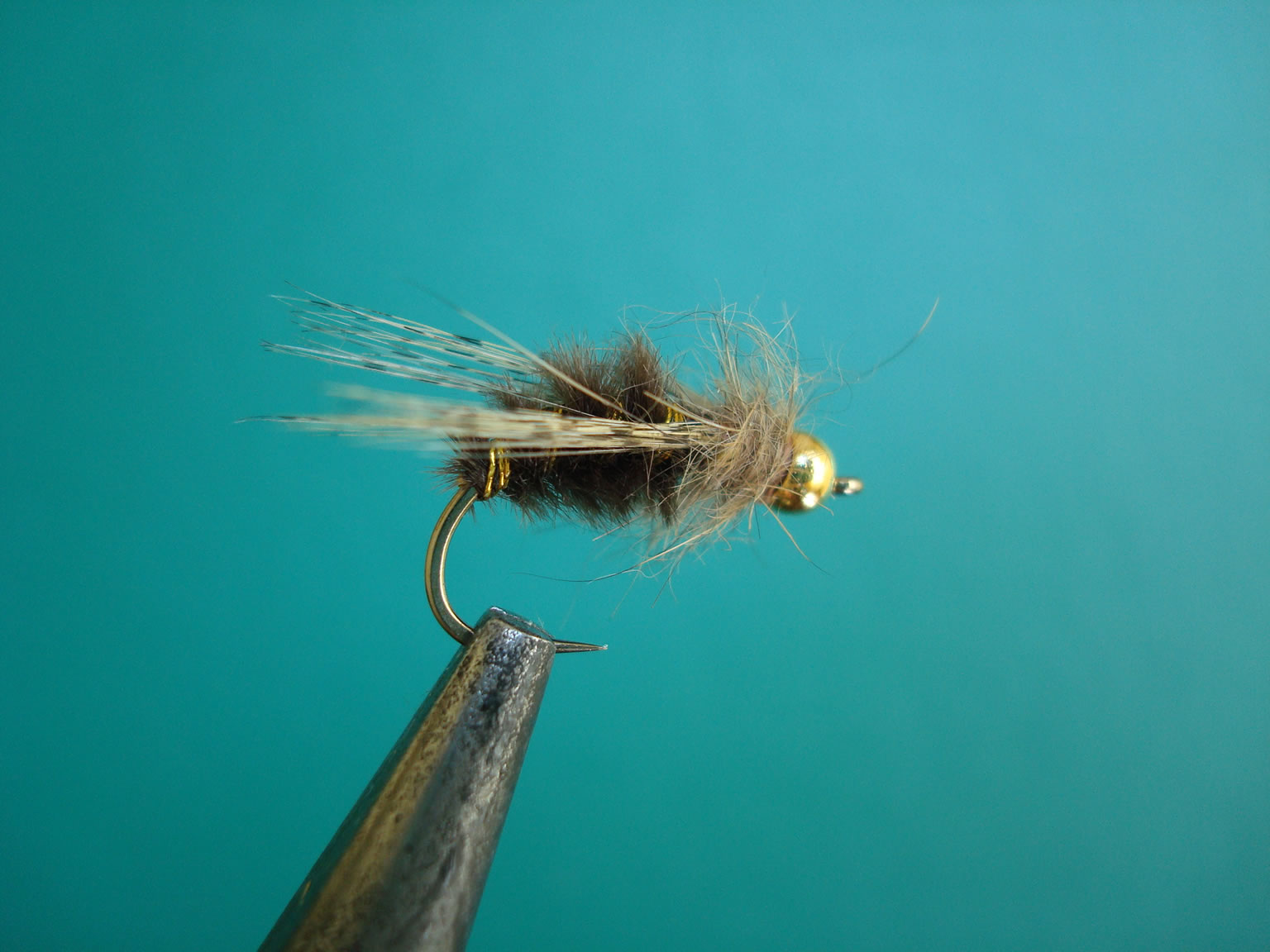 MOSCA SECA